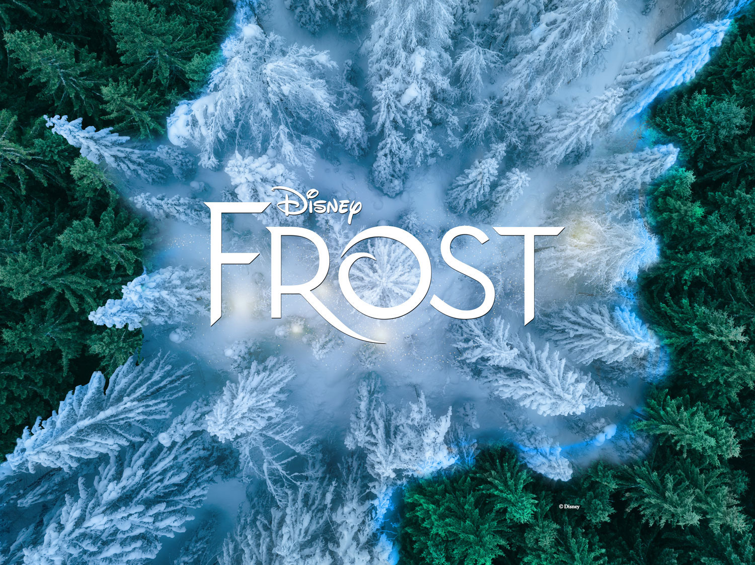 Frost - Þjóðleikhúsið