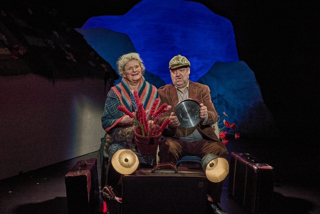 Blómin á þakinu frumsýnt á Litla sviðinu | Þjóðleikhúsið